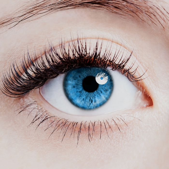 Discover Your Eye Shape and Find Your Perfect Magnetic Eyelash Styles ...