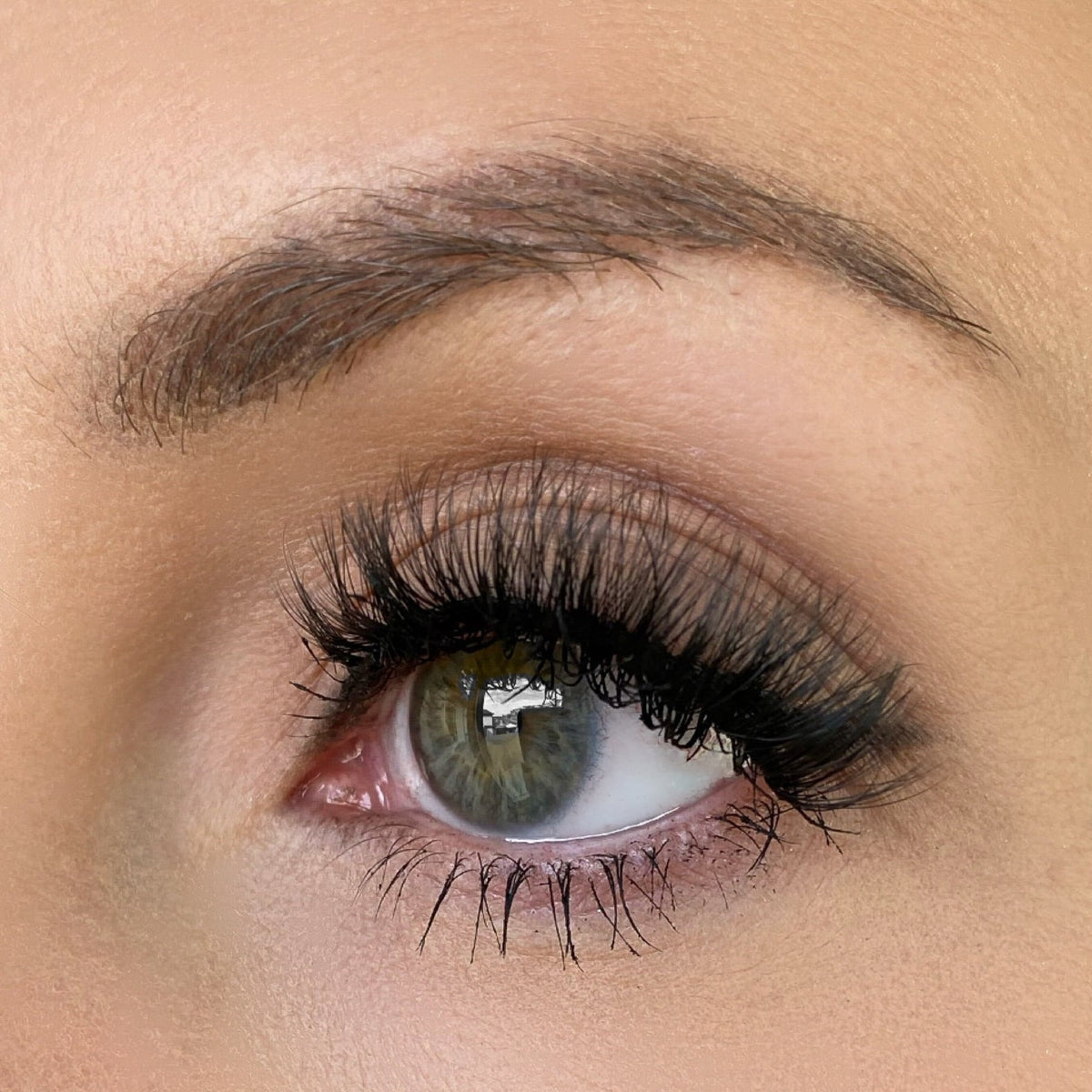 3D Glam Magnetic Eyelashes | 100% Vegan & Cruelty-Free | Superior ...